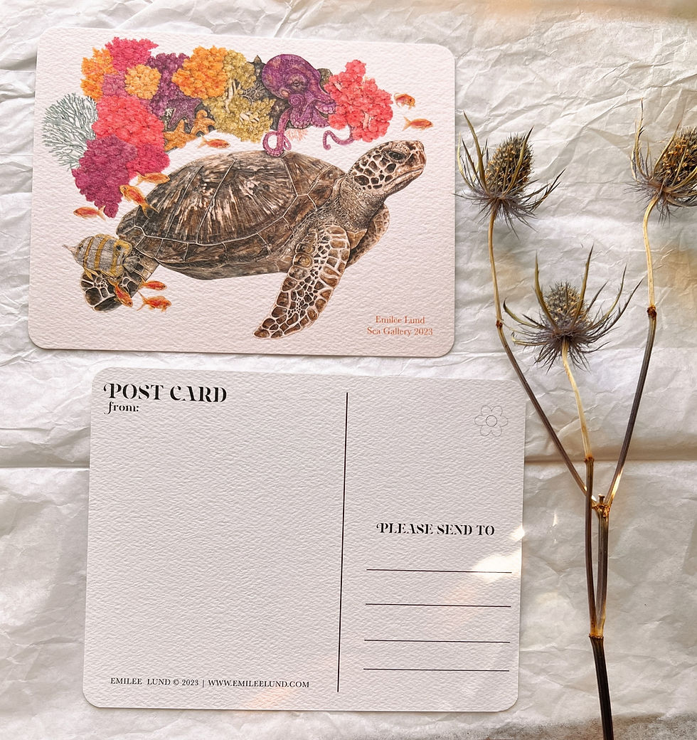 Postcard | Sea Gallery | EMILEE LUND