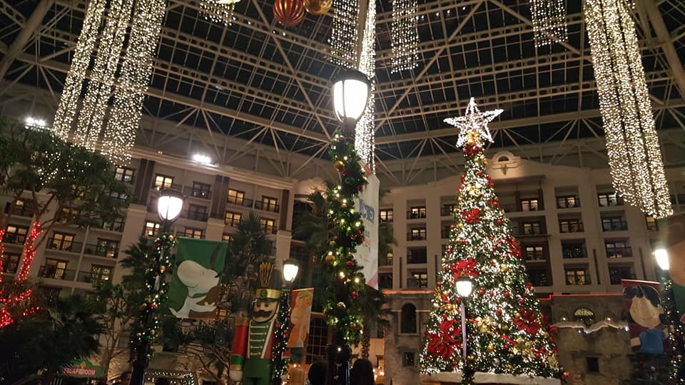 Why Gaylord's ICE! is a Must-See Holiday Event