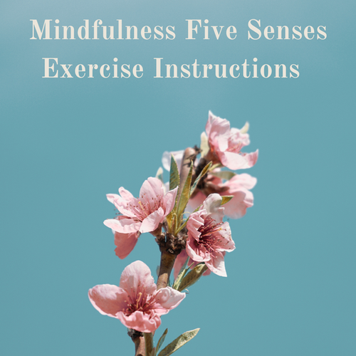 Mindfulness 5 Senses Exercise - Fillable Worksheet | Simply Psychotherapy