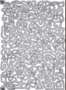 Maze Art | Michelle Boggess | World Record Maze Artist | Illustrated Mazes