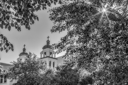 Sacred Canopy | Mysite