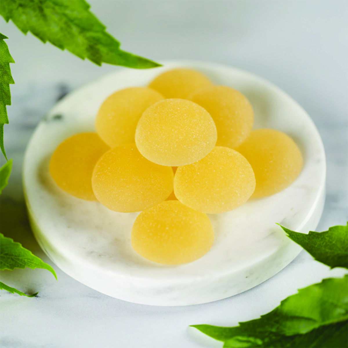 Cannabis Edibles and Their Benefits:A Guide for BeginnersSecond Opinion ...