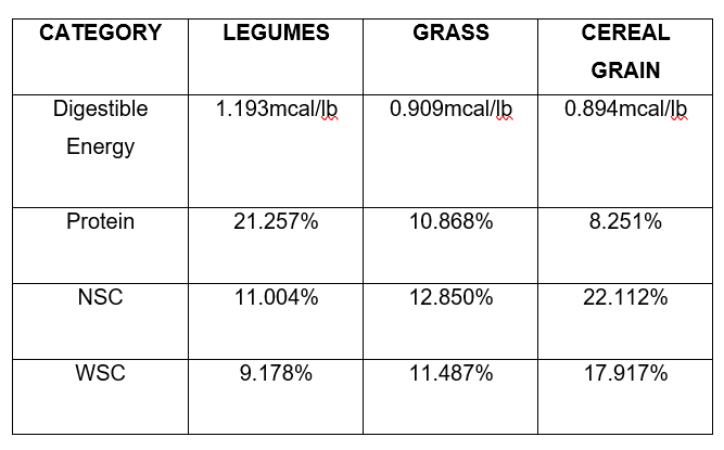Playing the Field - What Hay is best for my horse?