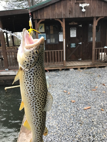 Trout Pond Park | Fishing