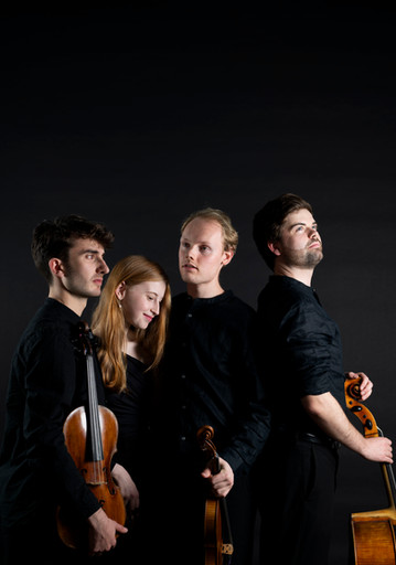 Photography | Fibonacci Quartet