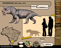 DICINODONTES Dicynodonts | paleozoobr