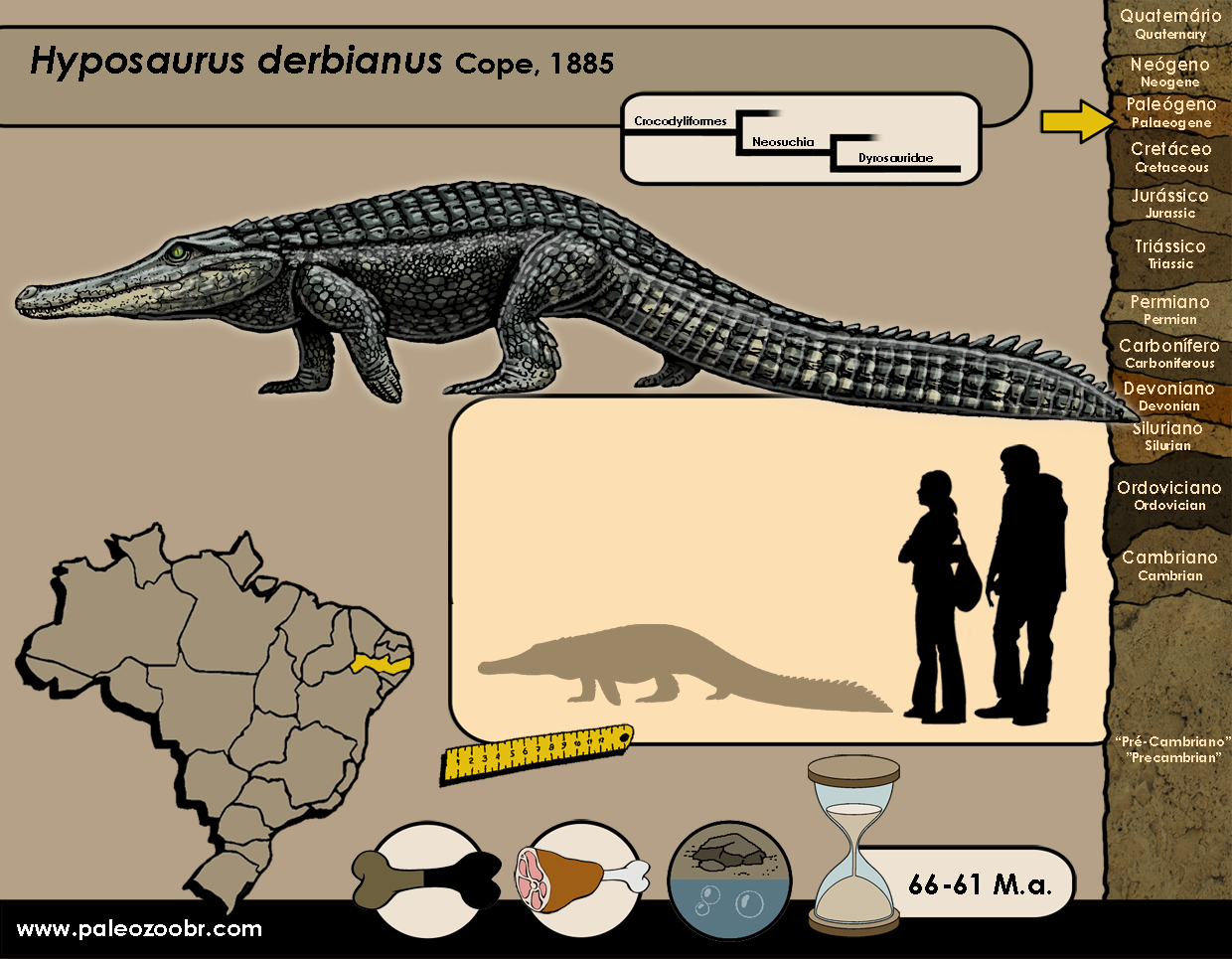 CROCODILOMORFOS Crocodylomorphians | paleozoobr