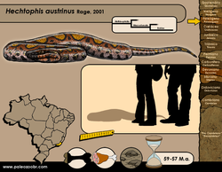 SERPENTES Serpents | paleozoobr