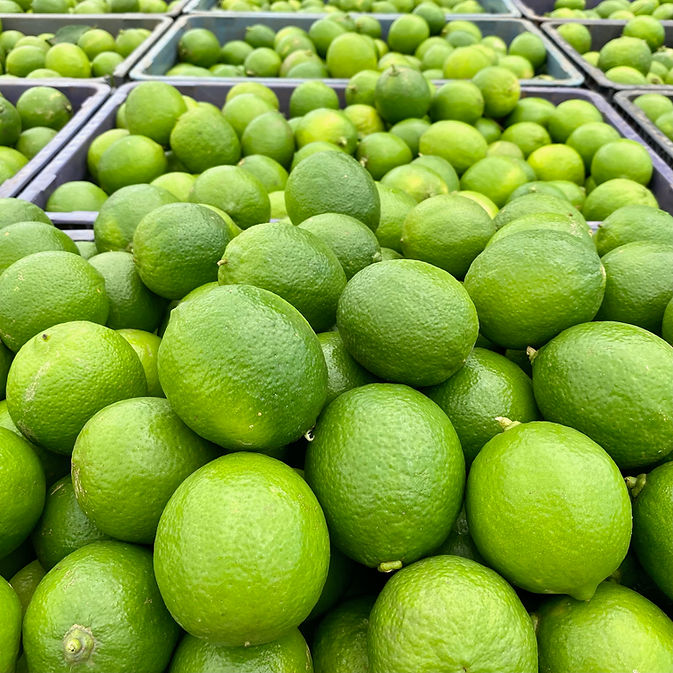 GMS Colombo Frutas | Limão | Pindorama, State of São Paulo, Brazil