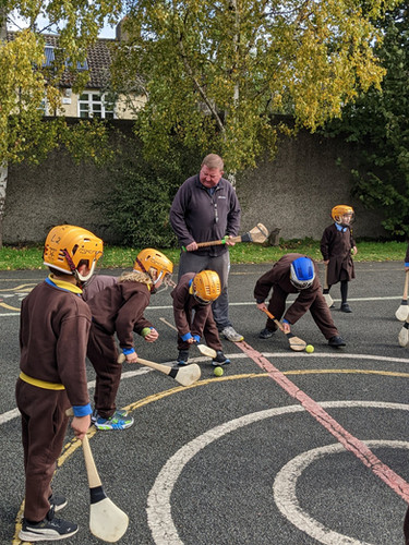 Hurling Coaching