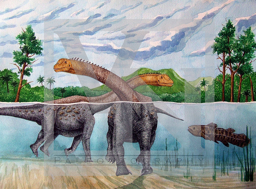 Vladimir Nikolov Paleontography | Paralititan stromeri