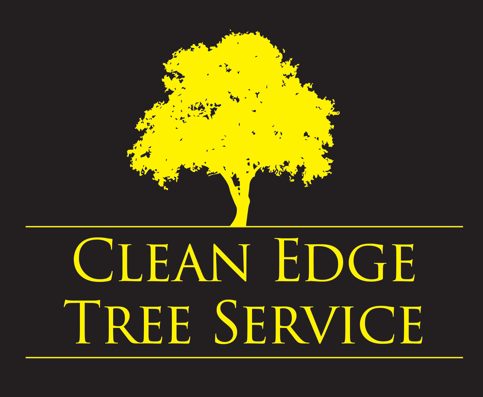 Lewisville Tree Removal / clean-edge-trees / Tree Cutting Service Near Me