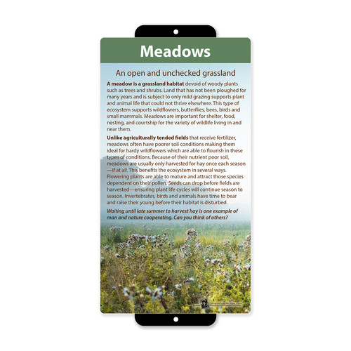 Meadows | Genesis Graphics inc