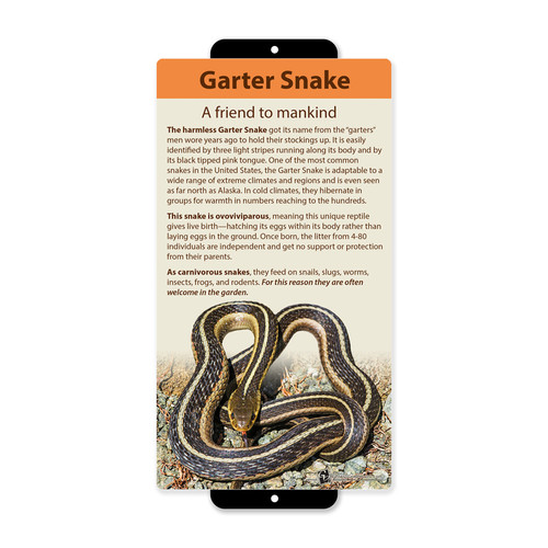 Garter Snake | Genesis Graphics inc