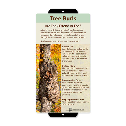 Tree Burls | Genesis Graphics inc