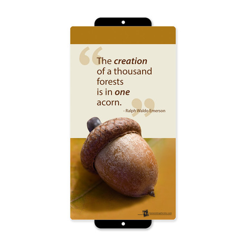 The Creation of a Thousand Forests | Genesis Graphics inc