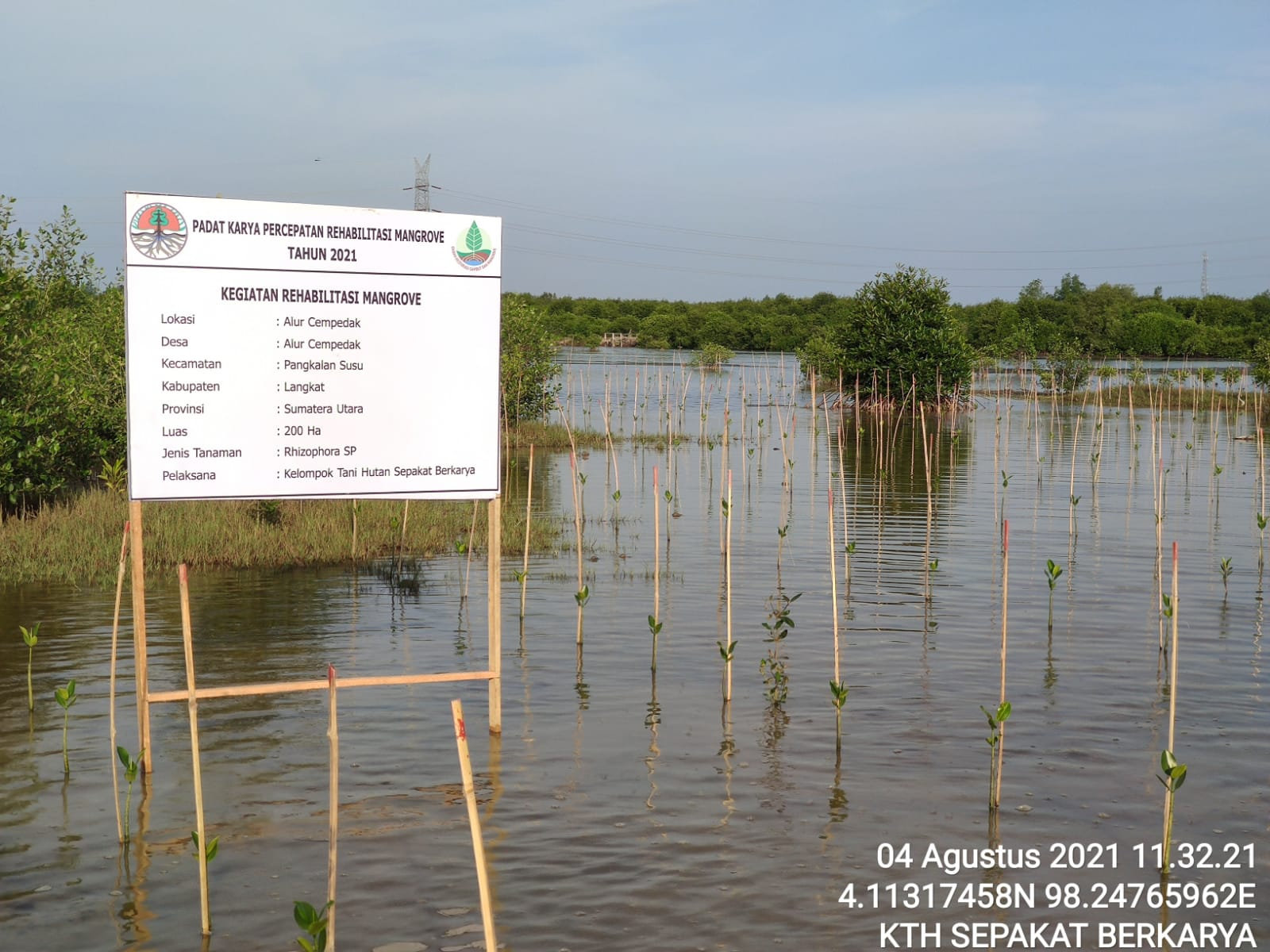 Mangrove 2021 - KTH. SEPAKAT BERKAYA