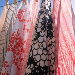 What's New? | Tea Green