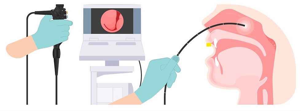 Turbinectomia: Cirurgia de Redução dos Cornetos Nasais