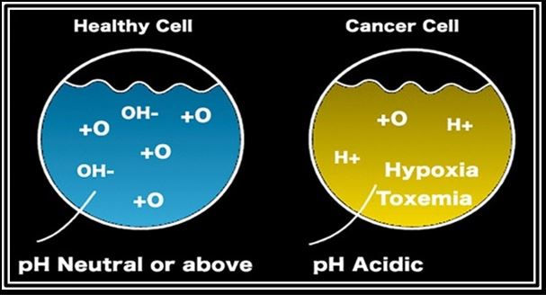 Alkaline Water Kills Cancer – This Is How To Prepare It