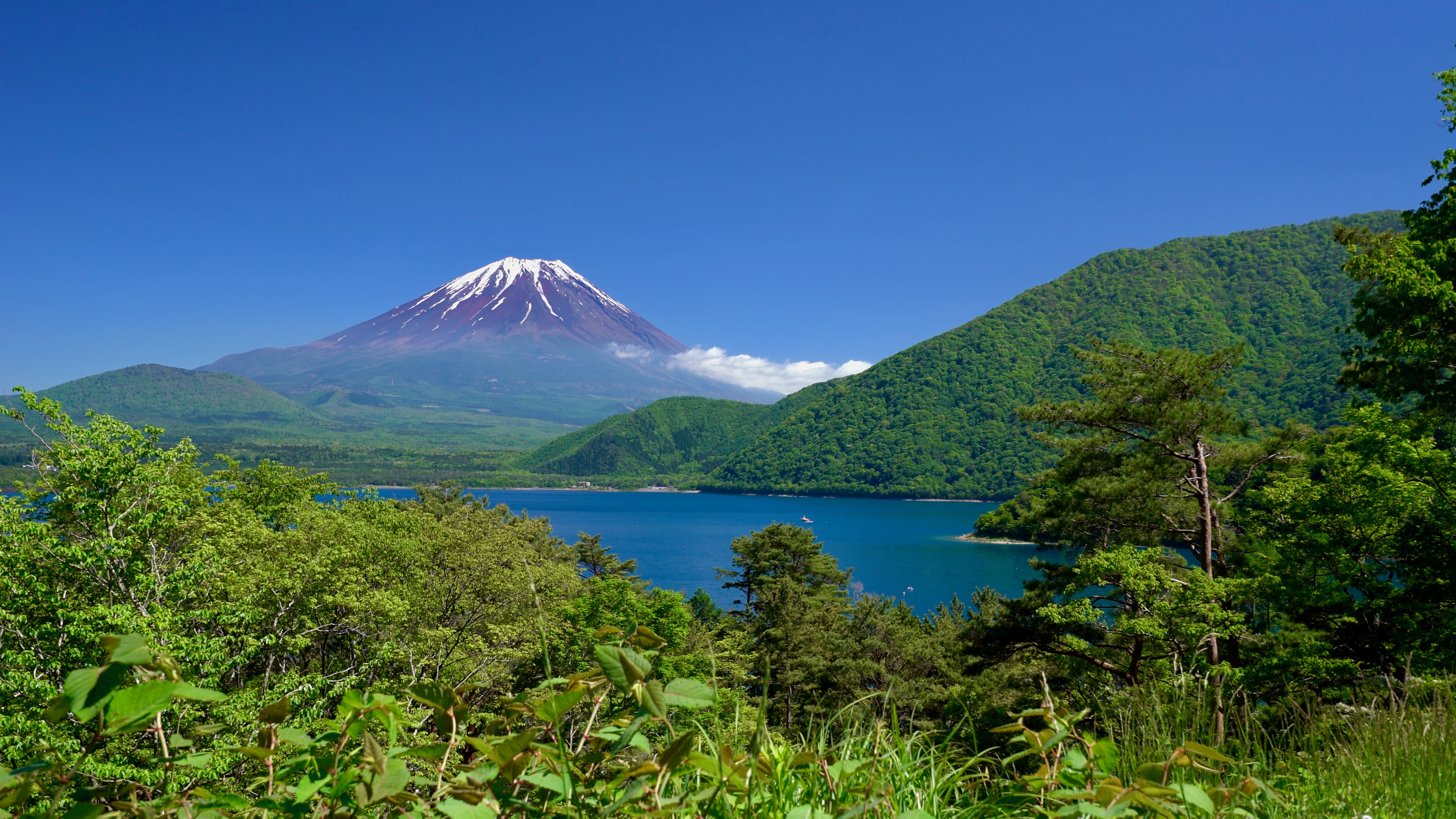 Fuji Five Lakes | Lake Motosu