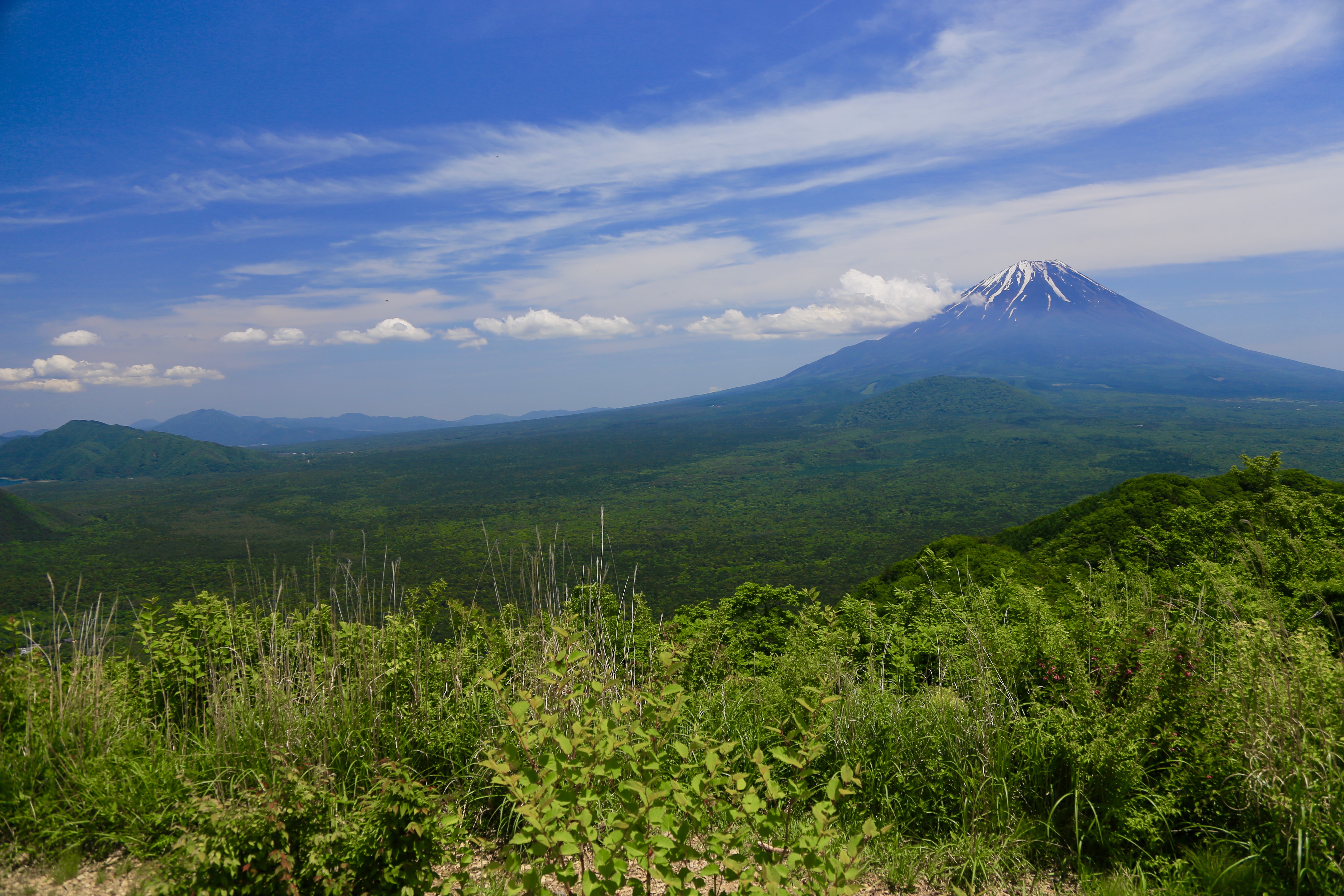 Fuji Five Lakes | Lake Motosu