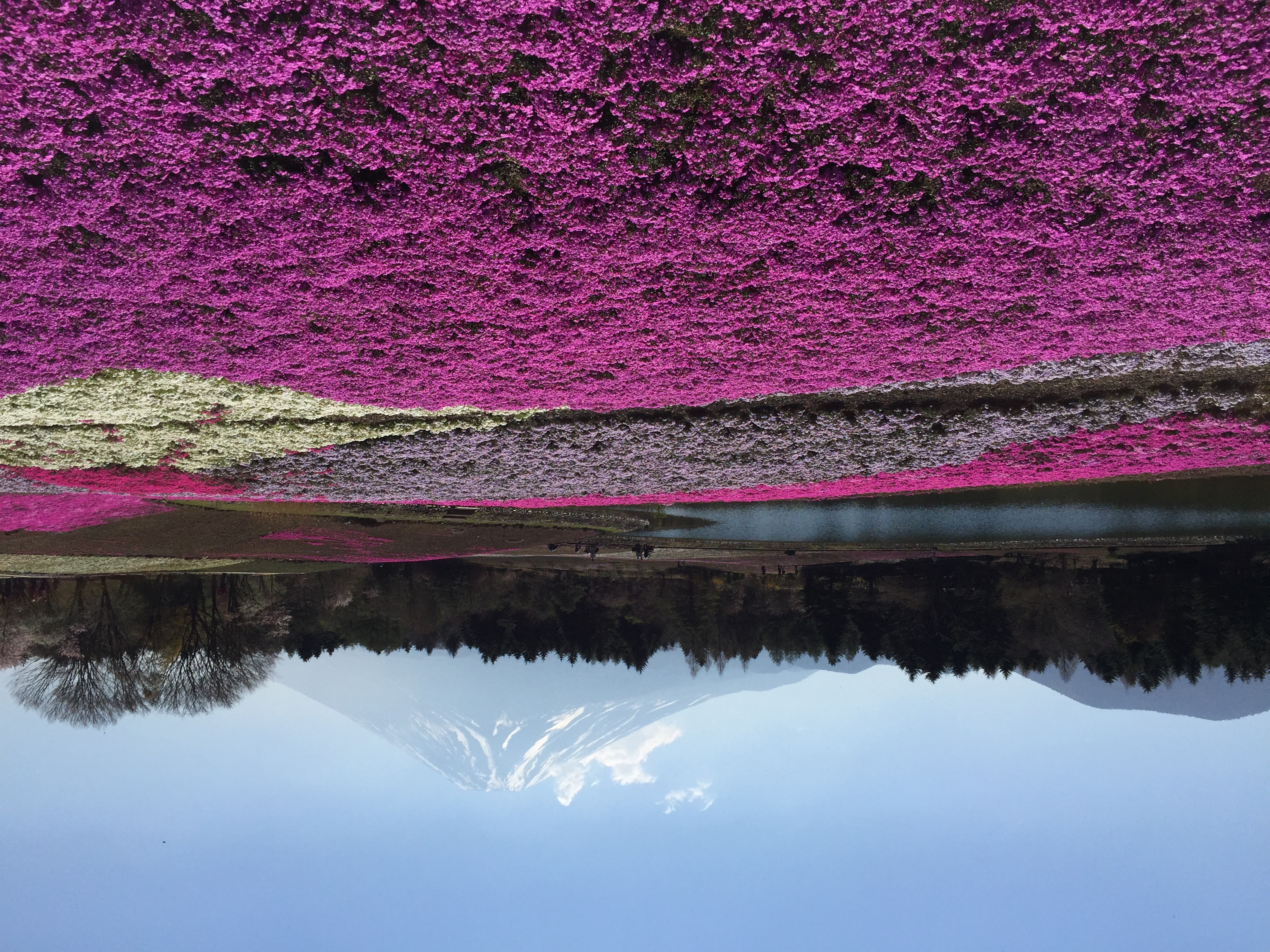 Fuji Five Lakes | Lake Motosu