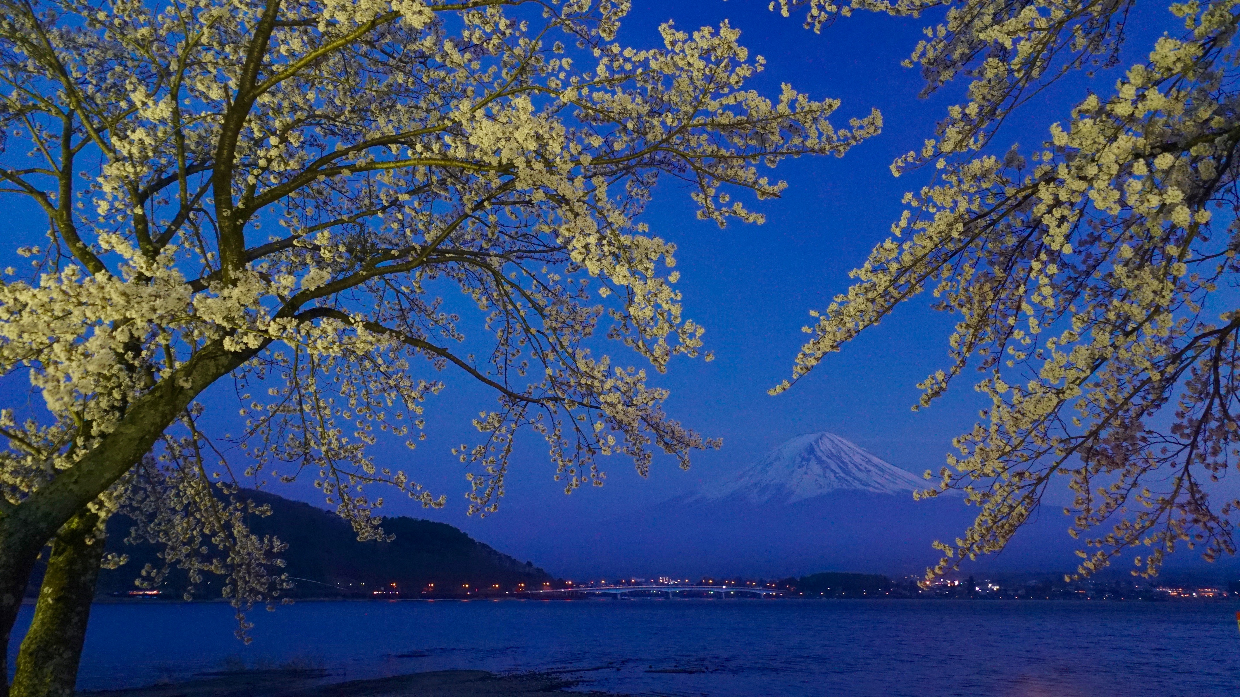 Fuji Five Lakes | Lake Kawaguchi