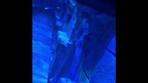 Infinity Window Illusion CAT#IFW25 | Nevermortis