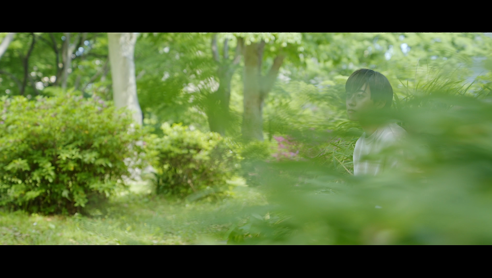 Indigo | ADVERTISING