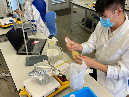 Collaborative Science Project | DBSIB