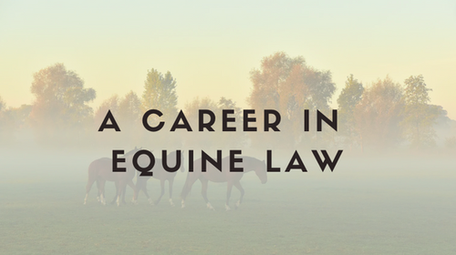 PODCAST - Legal Ed Class - A Career in Equine Law | Griffey Law & Mediat