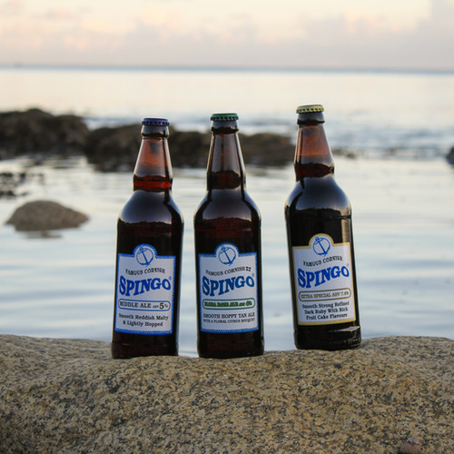 Mixed Box of Spingo Beers | spingoales