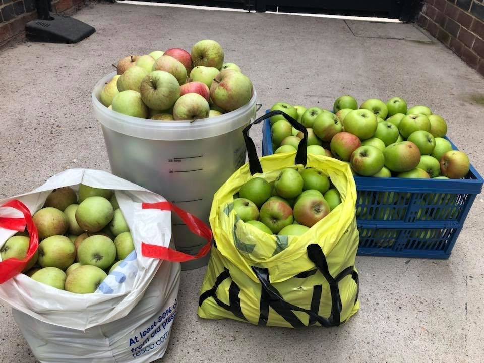 A recipe for delicious Homemade Apple Wine