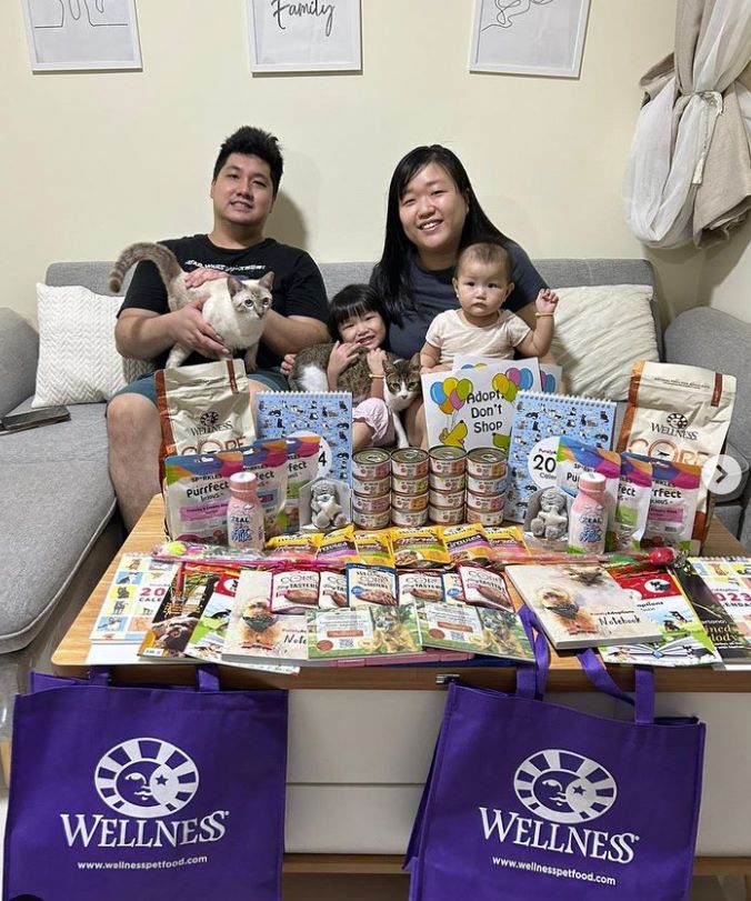 Kaiden and Kaison finds their forever home!😻