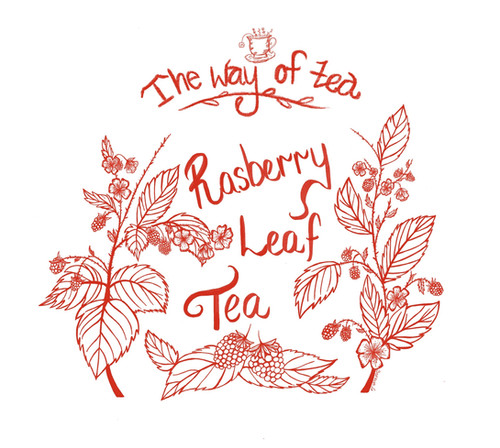Raspberry leaf tea | Bathurst Medi Herb