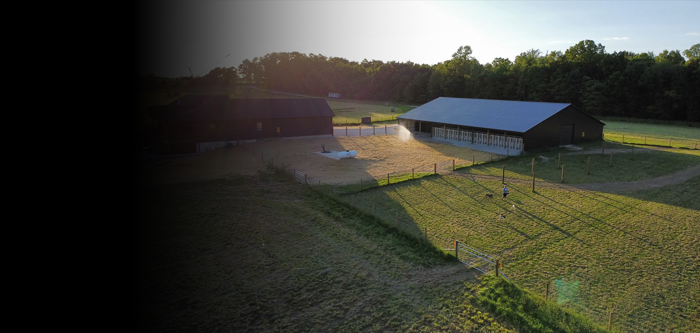 Riley Kennel & Farm | Professional Dog Training | 6061 North County ...