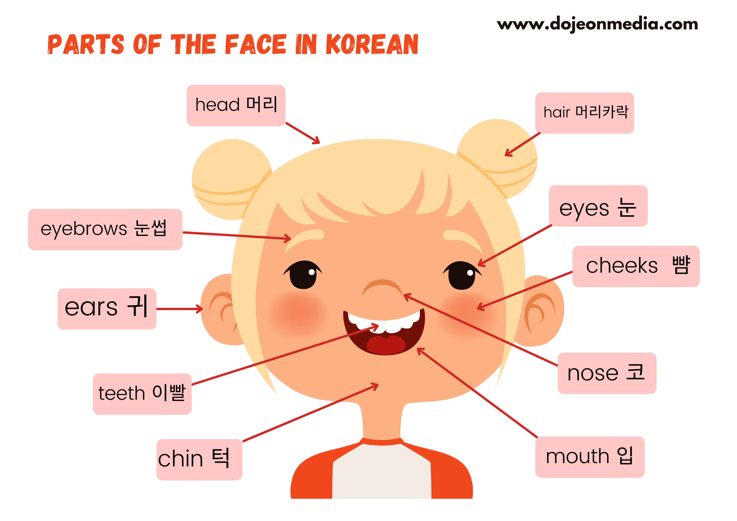[Korean Fridays] Exploring Facial Features in Korean Language