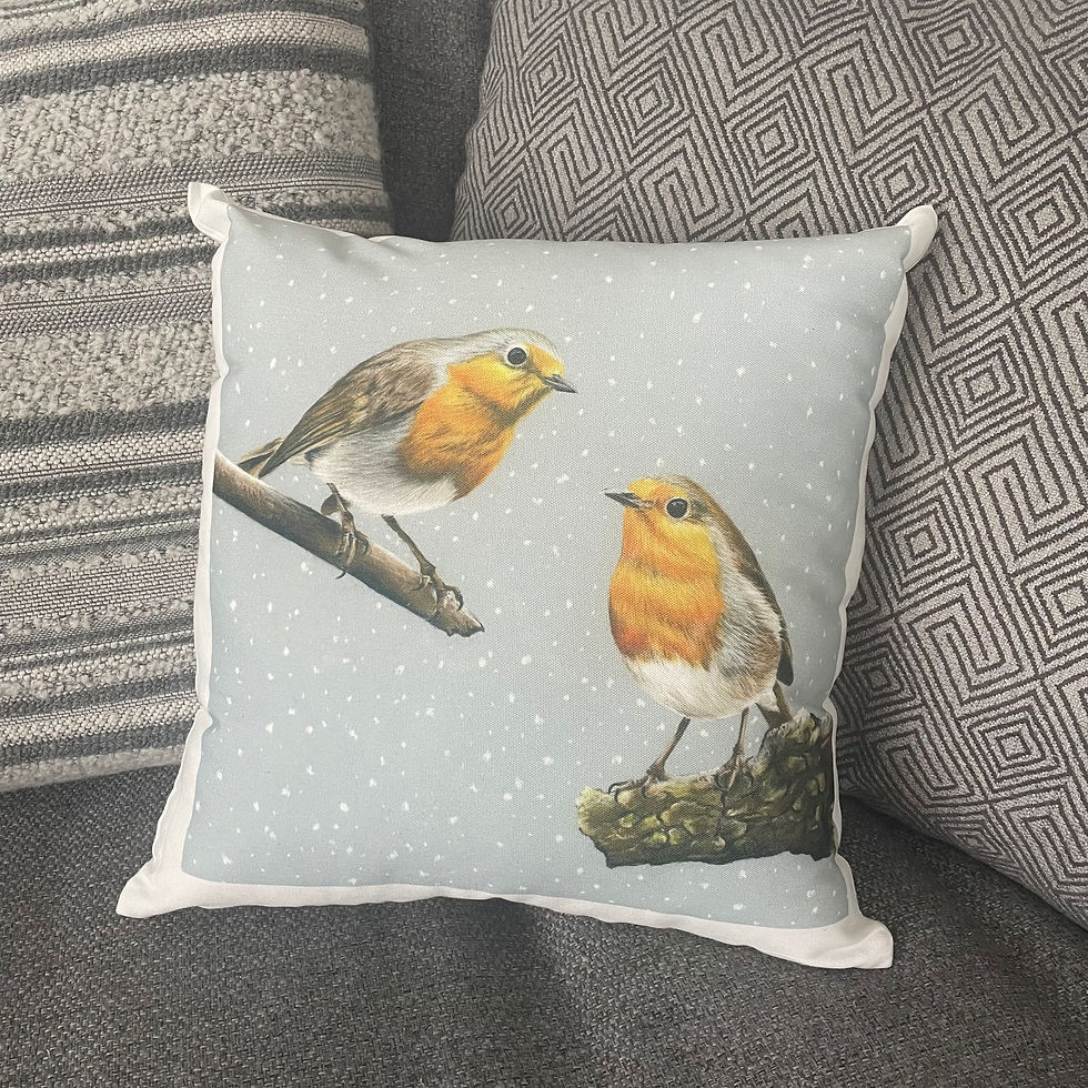 Robin Cushion | Lottie Louise Art