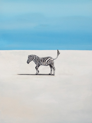 Zebra | Robin Cruise