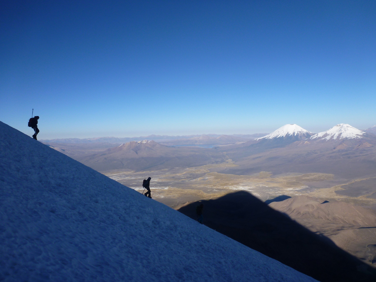 Sajama Volcano 6542m | Andean Ascents | Bolivia