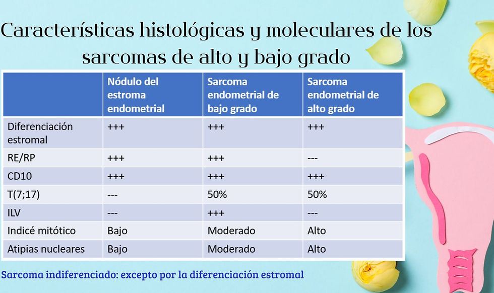 Tratamiento del Sarcoma Uterino: Diagnóstico y Opciones Avanzadas ...