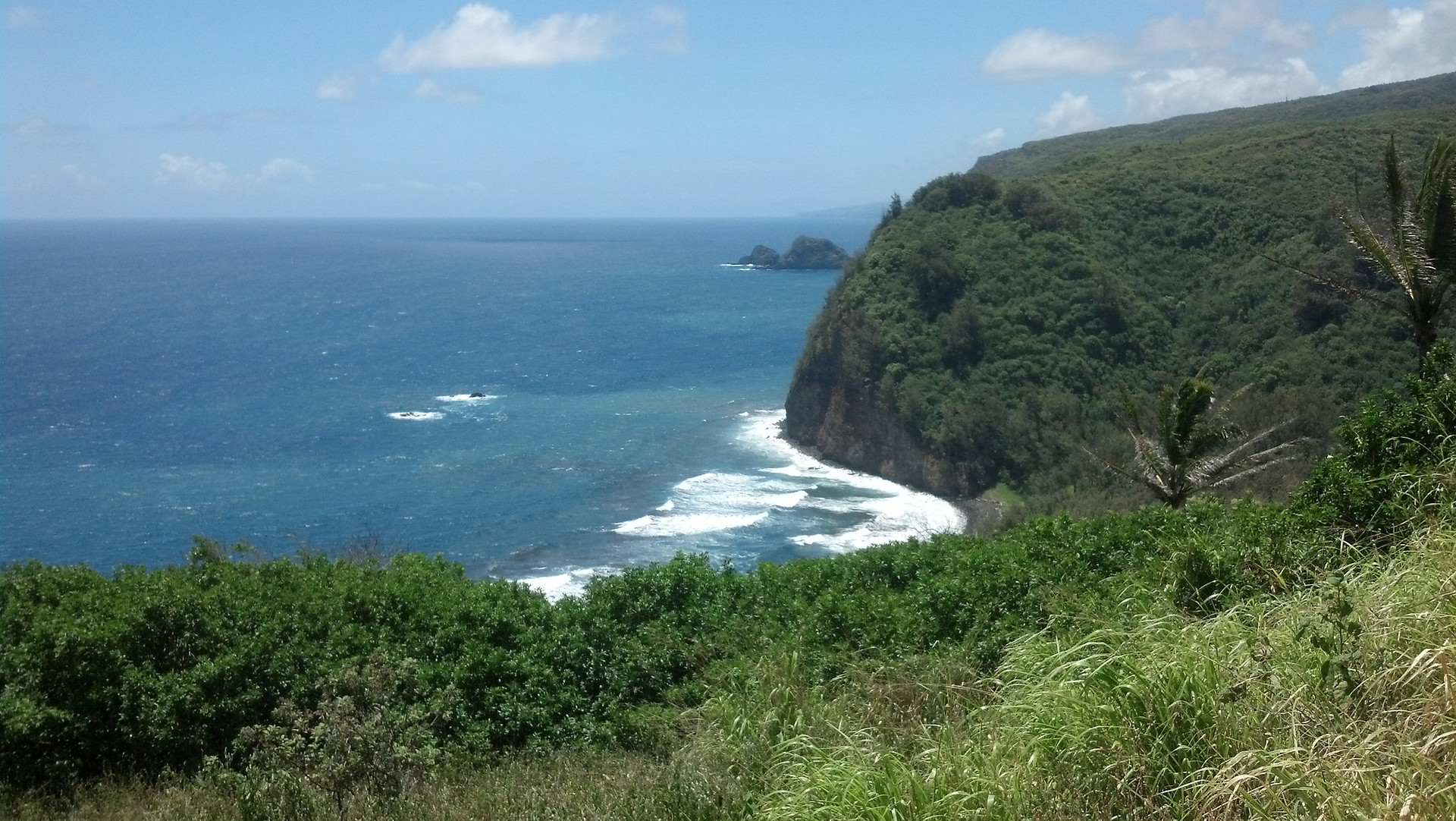 Apau Hawaii Tours LLC - contact me