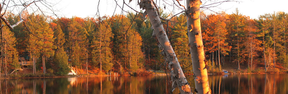 Northern Michigan | Tee Lake Resort | United States