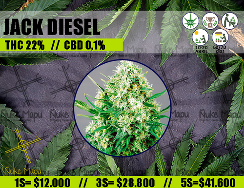 JACK DIESEL | nukemapu