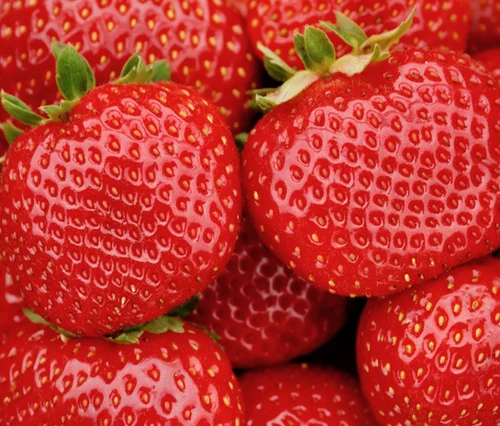 Shannon M. Kent - Strawberry Crown | ONEGARDENYEG