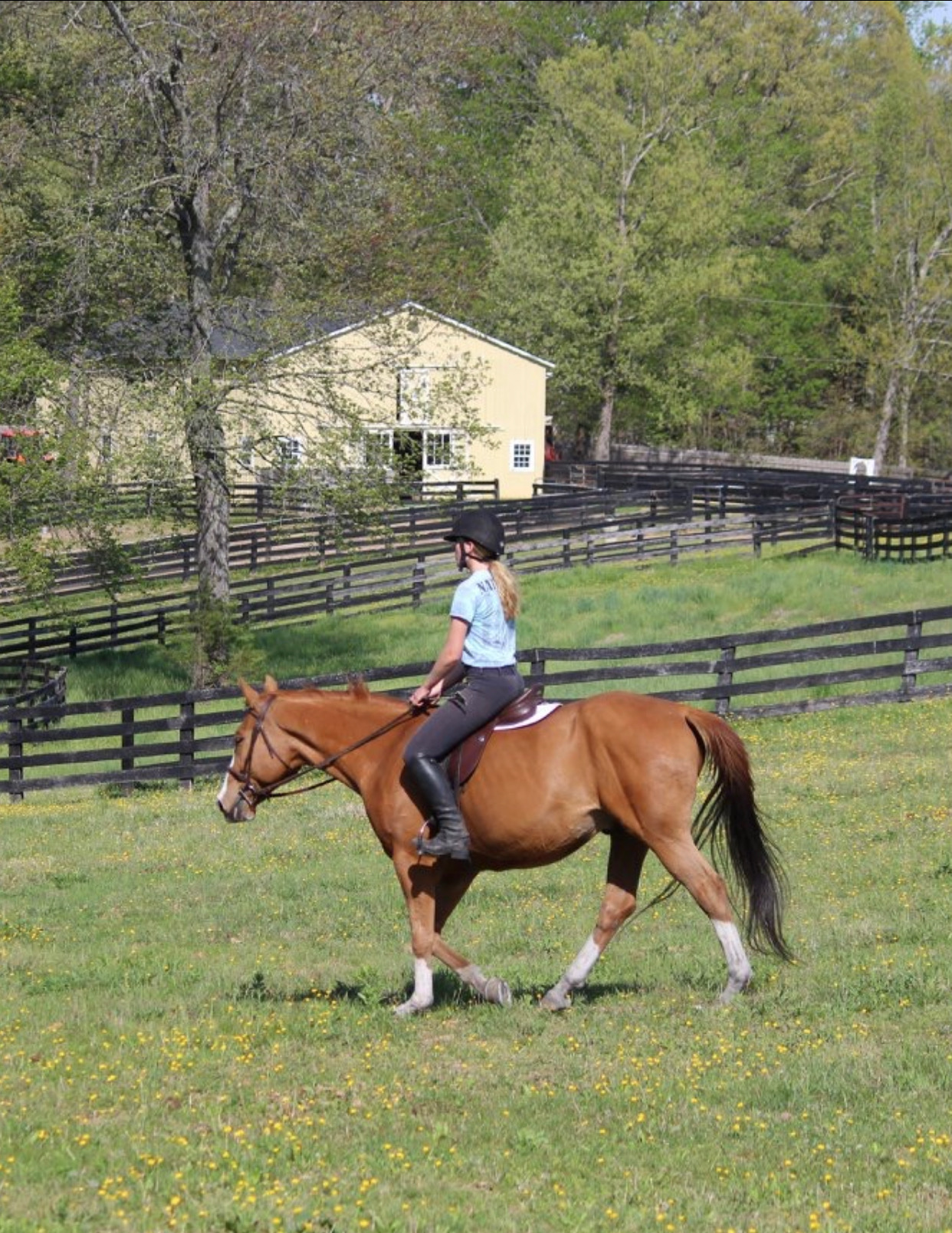 Internship Program | Whitestone Farm