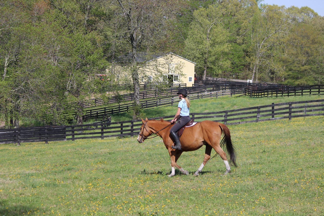 Whitestone Farm | Barns & Arenas