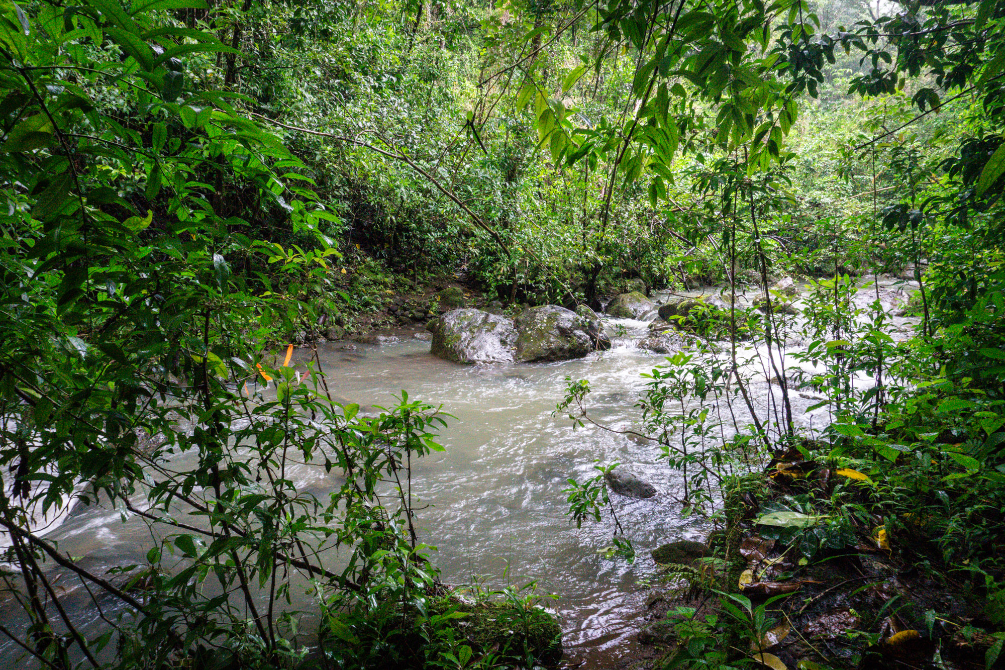 KALAUAO FALLS via AIEA LOOP TRAIL
