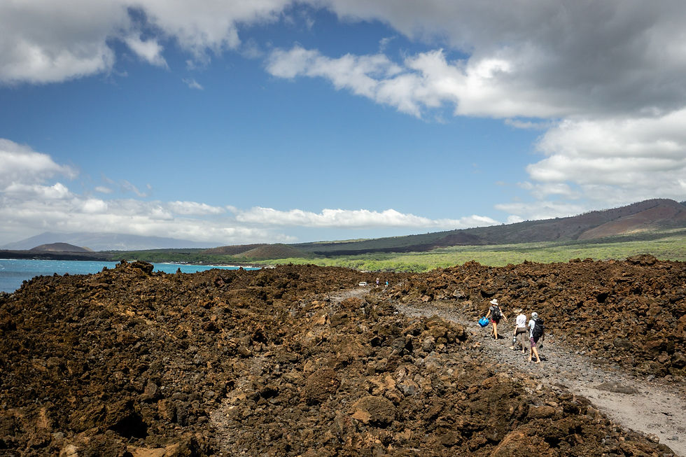 HOAPILI TRAIL and THE KING's HIGHWAY--MAUI